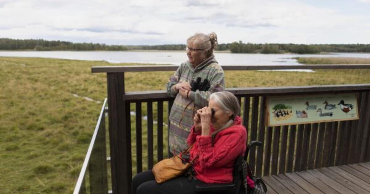 Vastaa vanhus- ja vammaisneuvostojen kyselyihin ja vaikuta | Helsingin ...