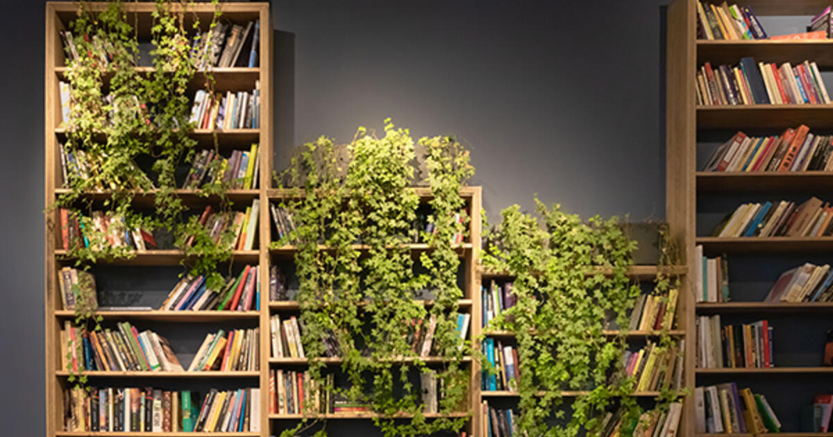 The carbon footprint of libraries has been calculated for the first ...