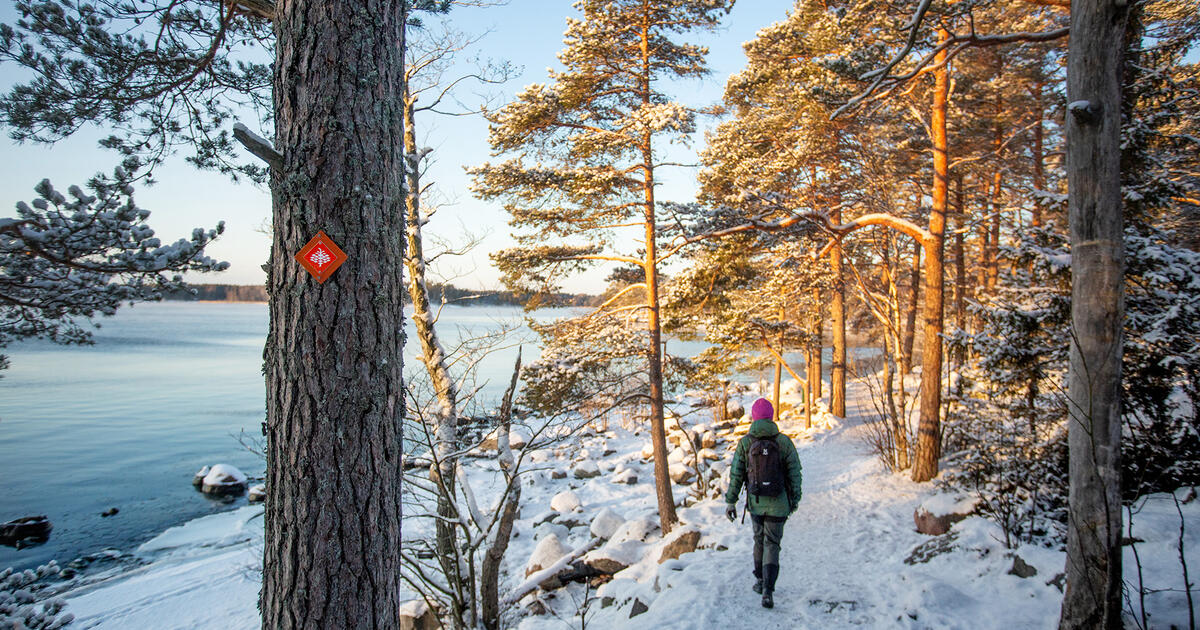 Uutela Forest Nature Trail | City of Helsinki