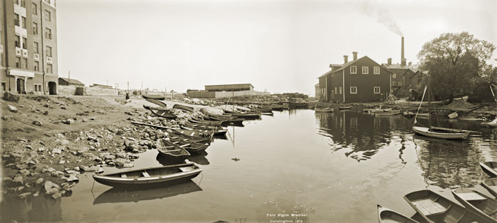 Signe Brander: Munkkisaari 1907